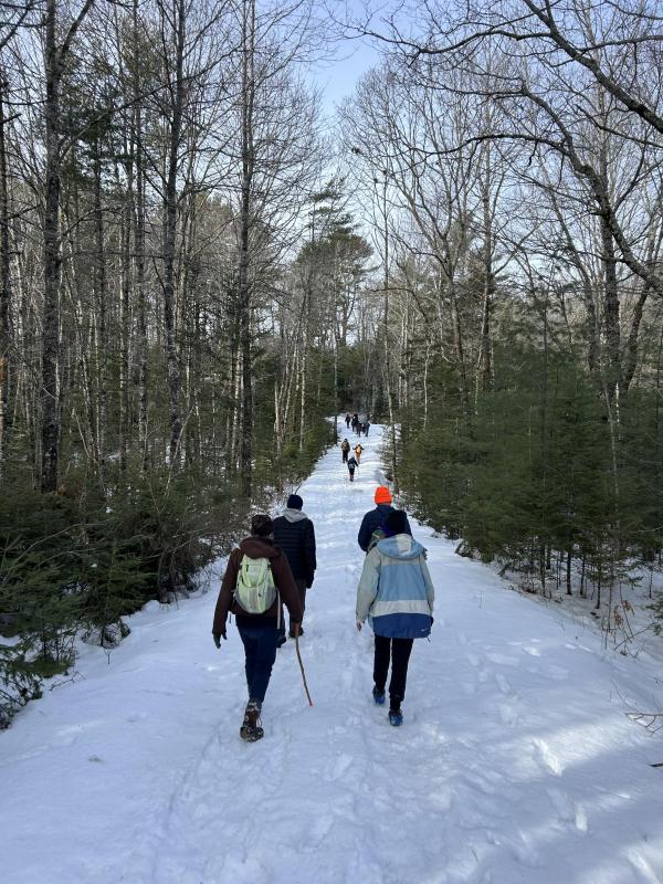 Celebrate the opening of new trails in Rockland Bog with Georges River ...